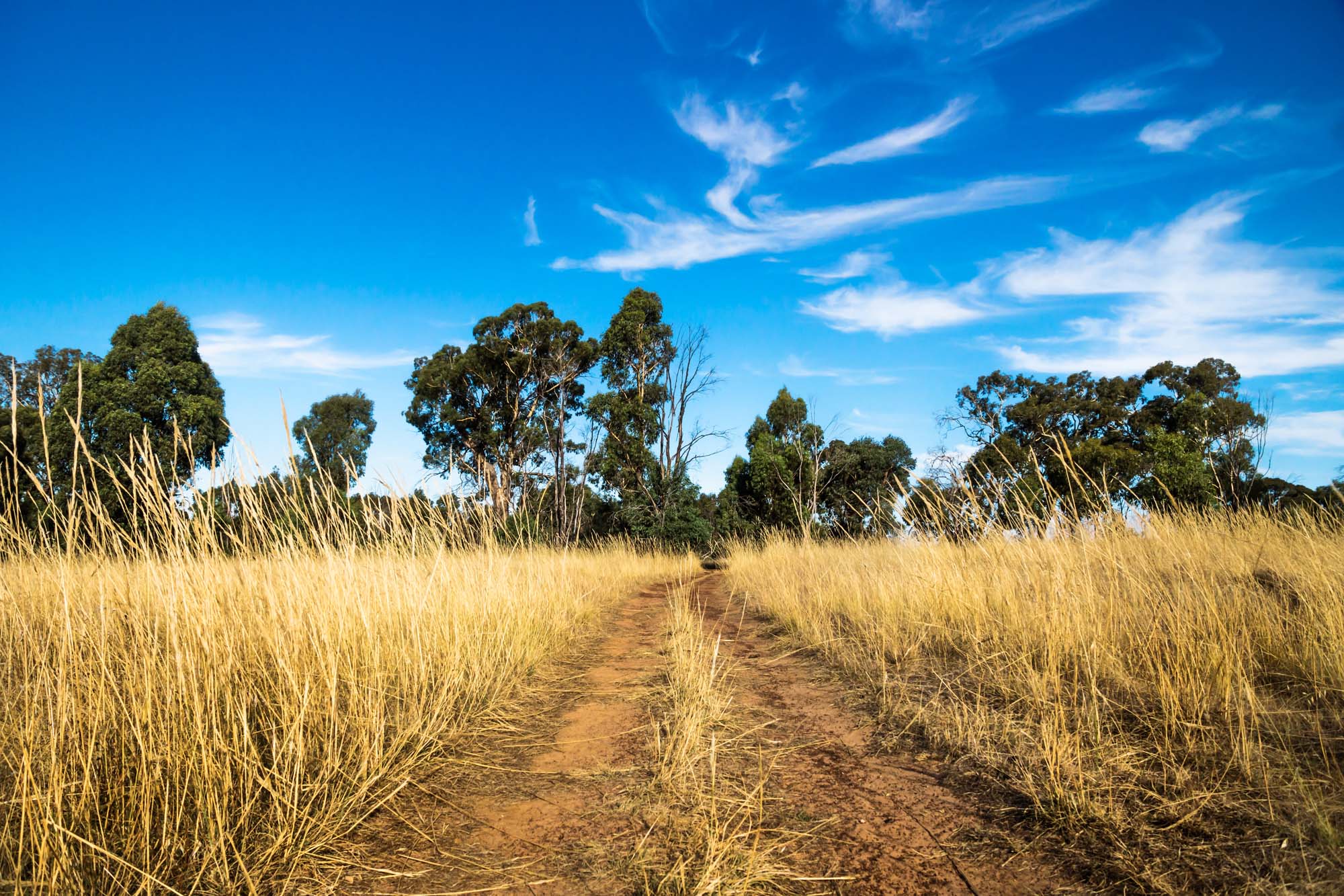 Photo portfolio - Landscapes of our earth - Loes Kieboom